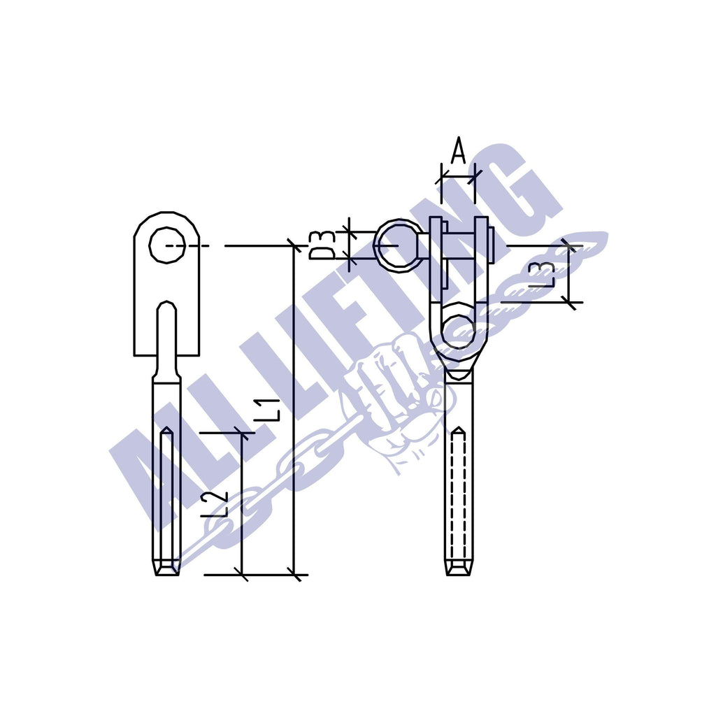 Stainless Steel Toggle Terminal Eye Type | All Lifting