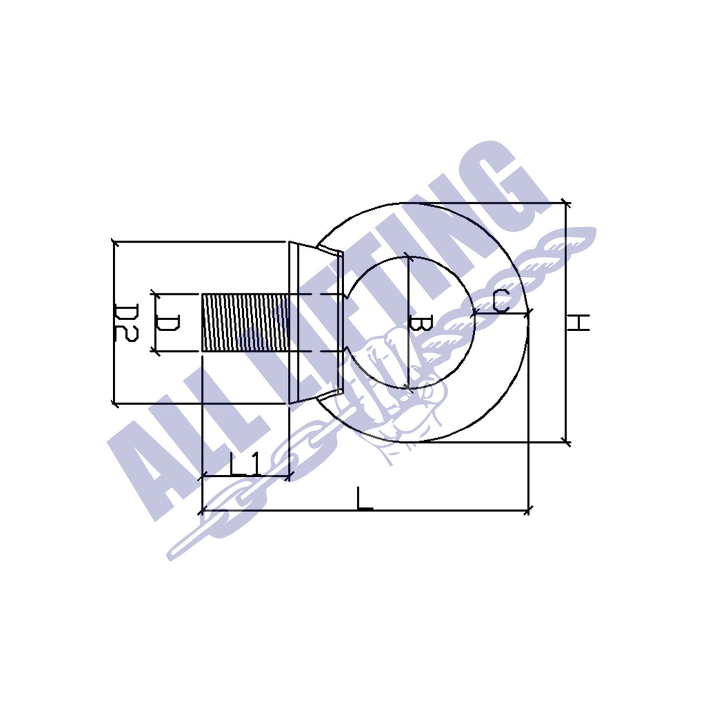 SS-eye-bolt-1_1024x1024.jpg?v=1590010912